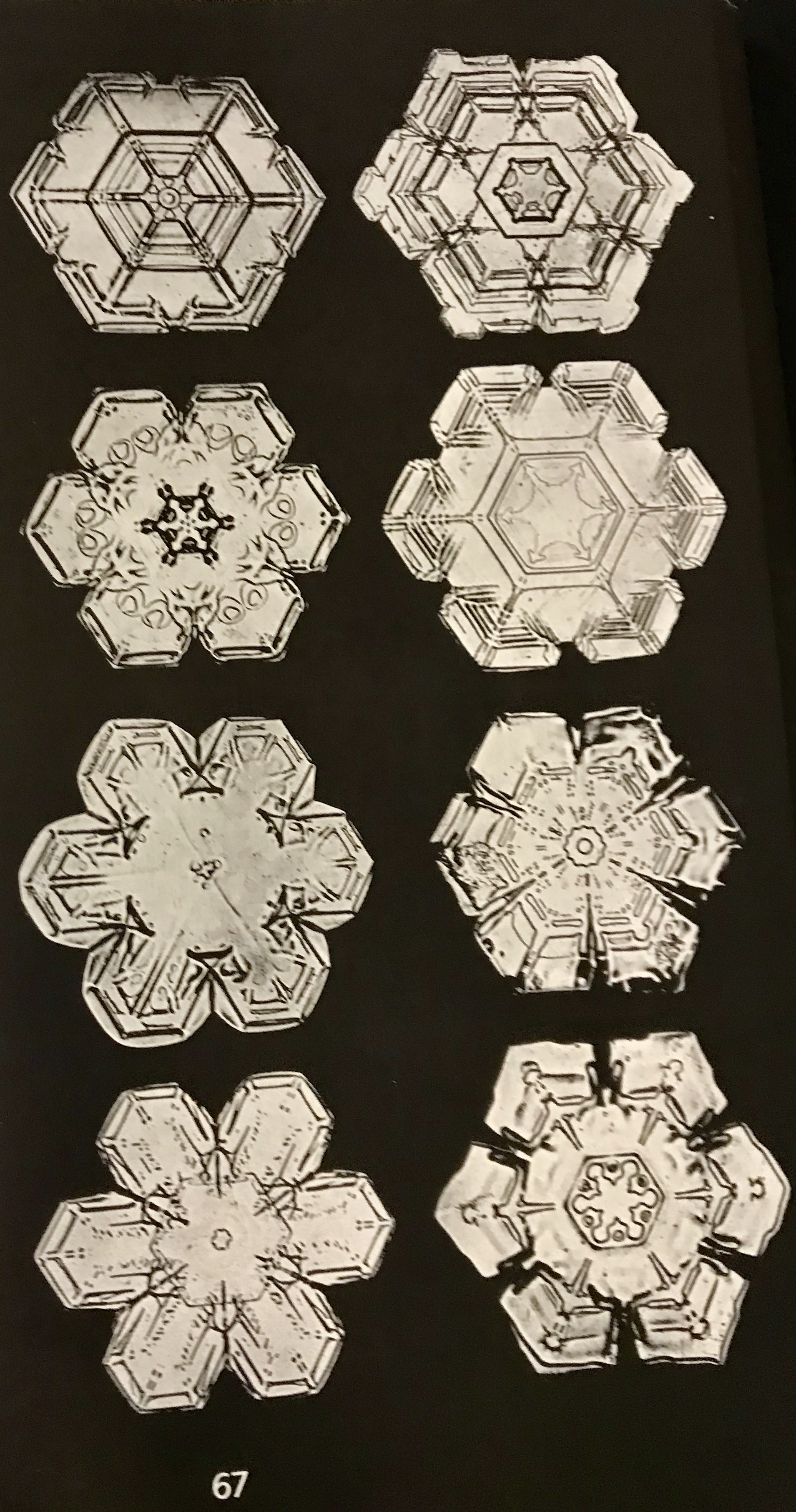 Snowflakes: The Hidden Things Part 2 – Revelations About Israel and the ...